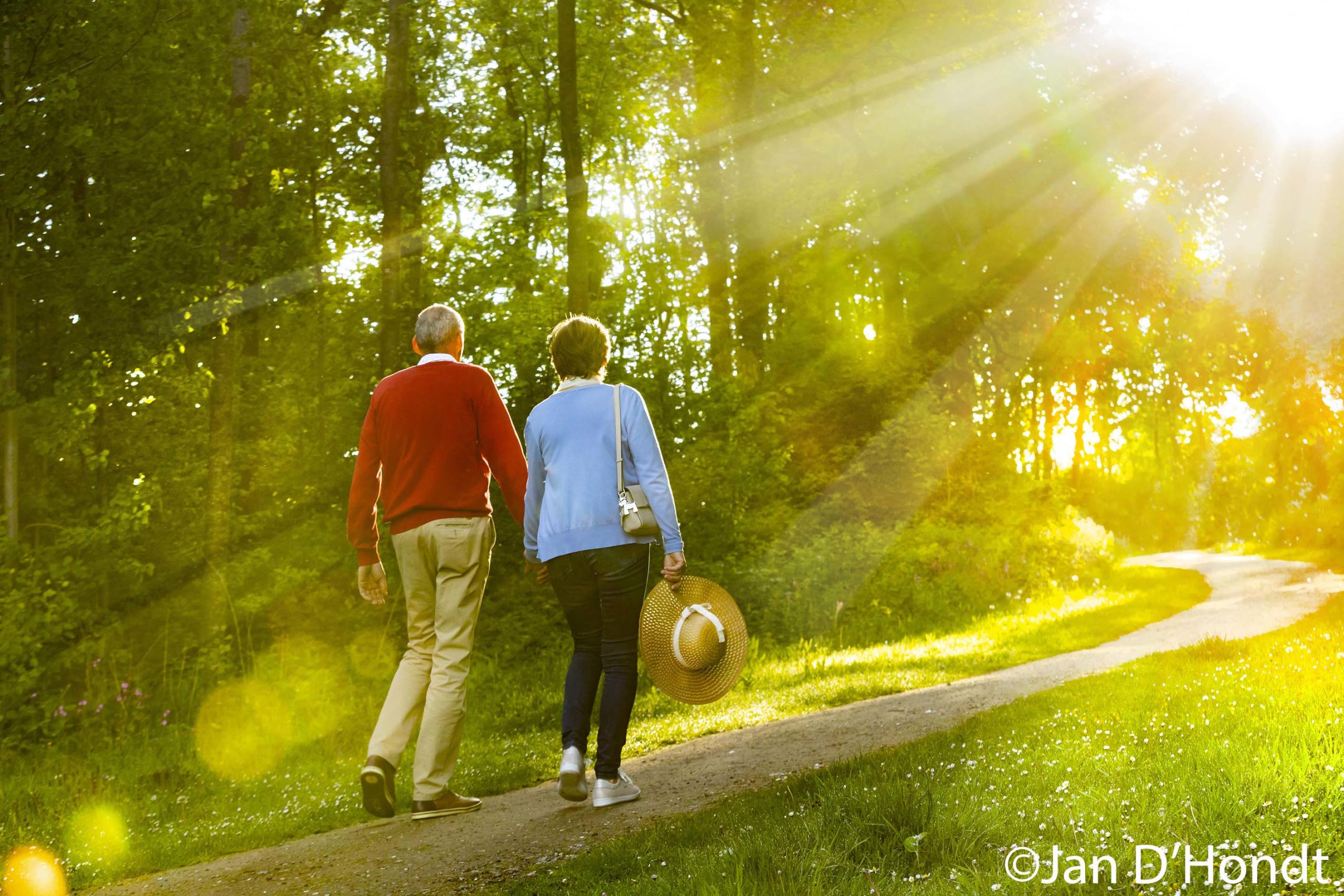 Leer wandelend hoe Zonnebeke herrees - Toerisme Zonnebeke
